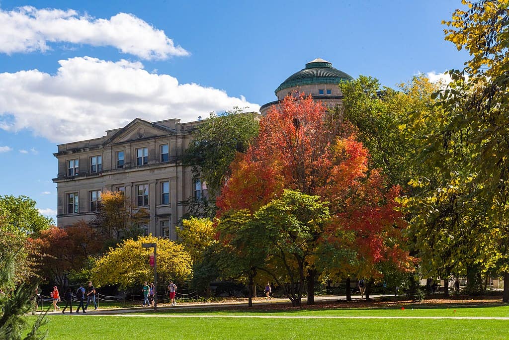 Strong Business Programs for B Students: A Few to Consider, with CIT ...